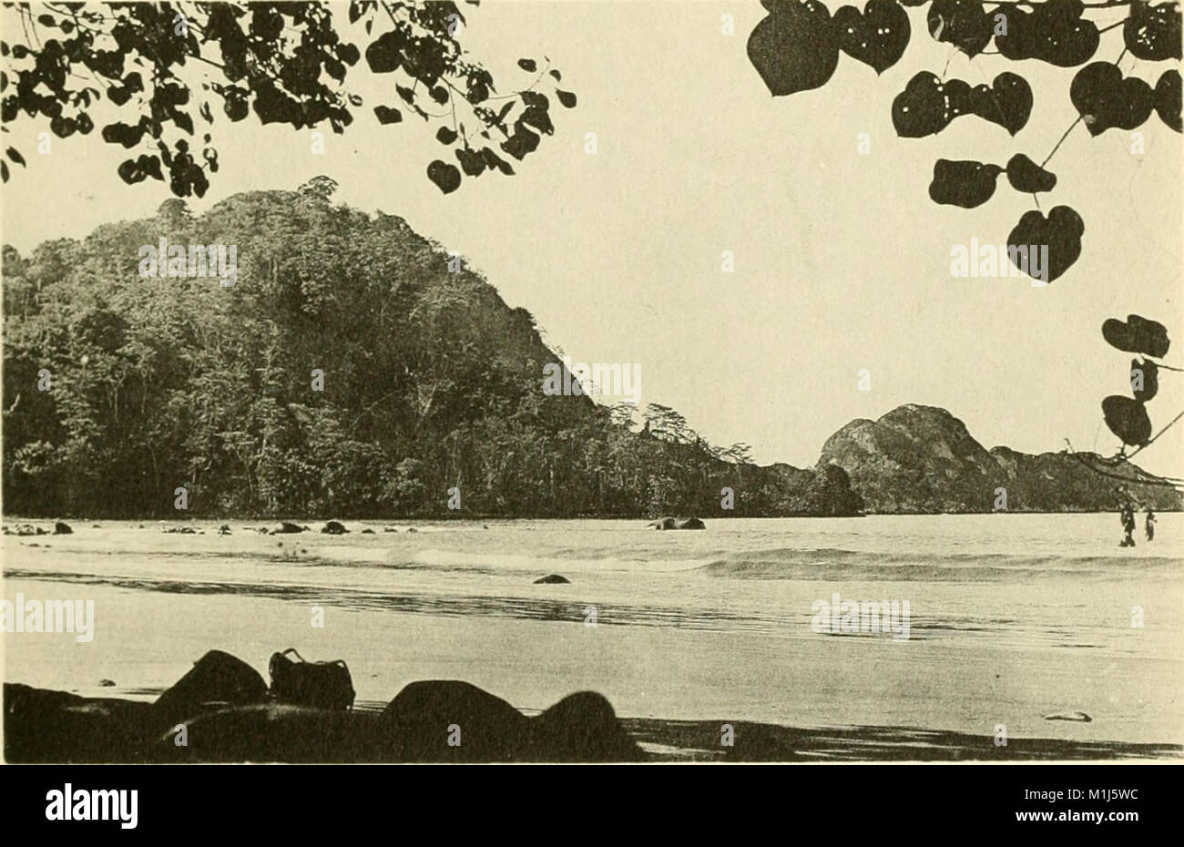 Allan Hancock Pacific expeditions (1943) (17925280366 Stock Photo - Alamy