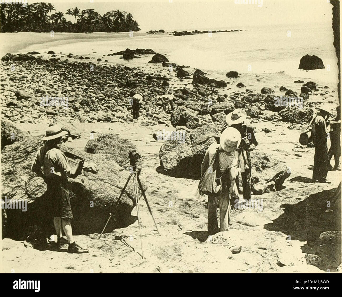 The 'Allan Hancock Pacific Expeditions' (1943) documents scientific ...