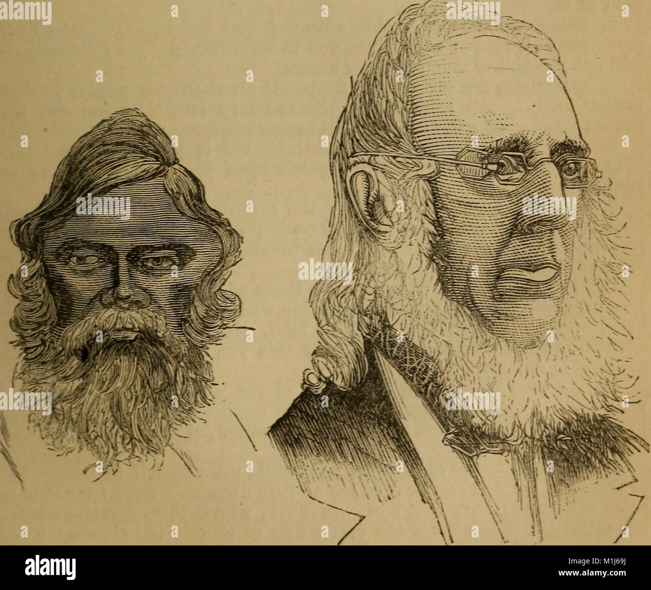Human evolution chart hi-res stock photography and images - Alamy
