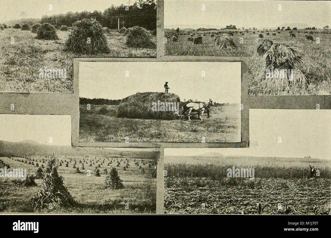 The 1911 handbook of Virginia provides a comprehensive overview of the ...