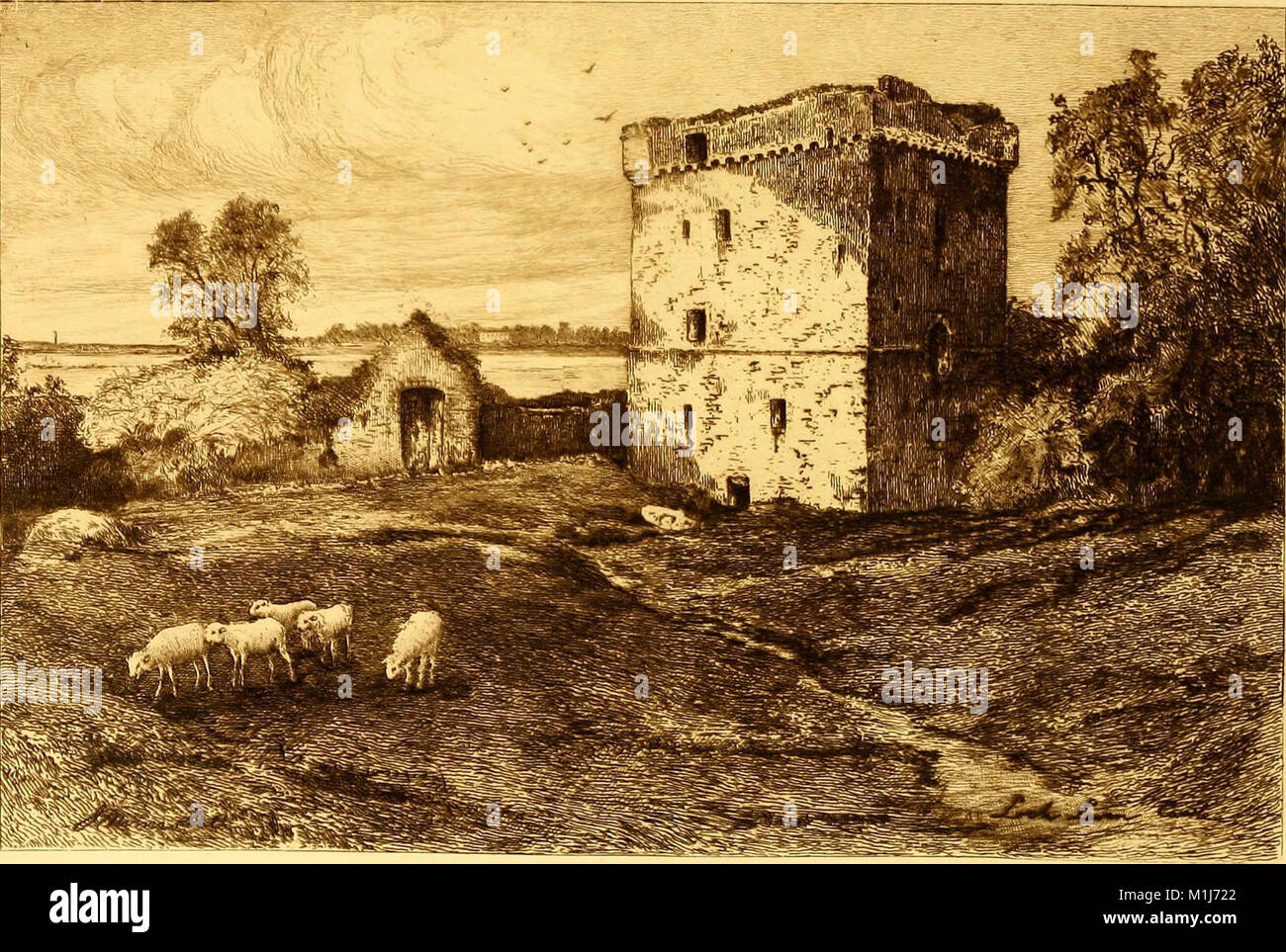 A history of the family of Seton during eight centuries. (With plates ...