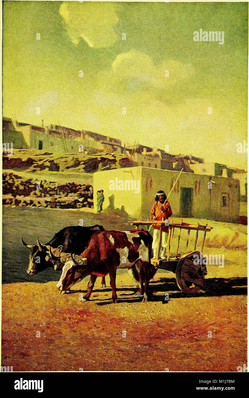 This work explores the history and culture of American Indian tribes in ...