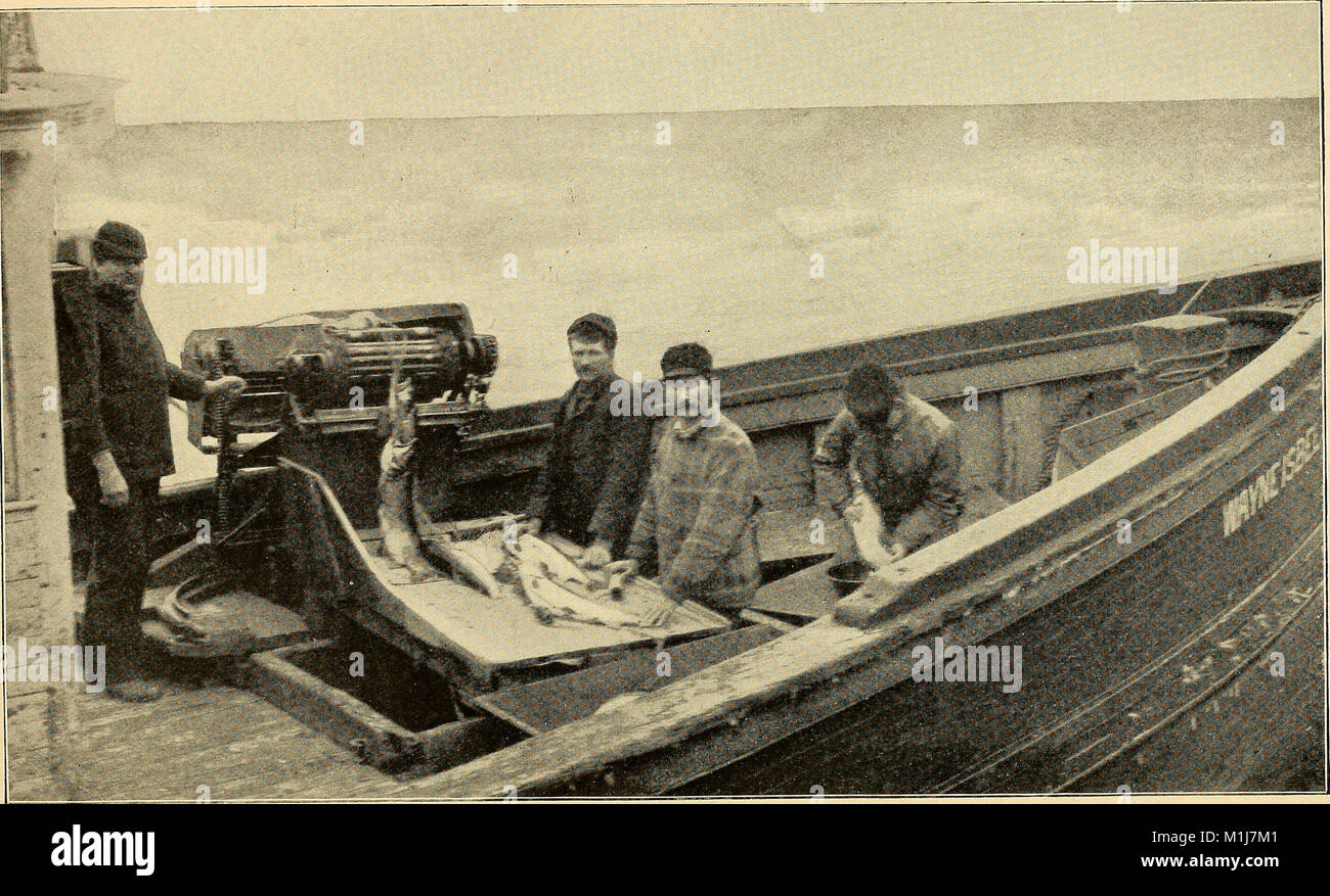 A manual of fish-culture, based on the methods of the United States ...