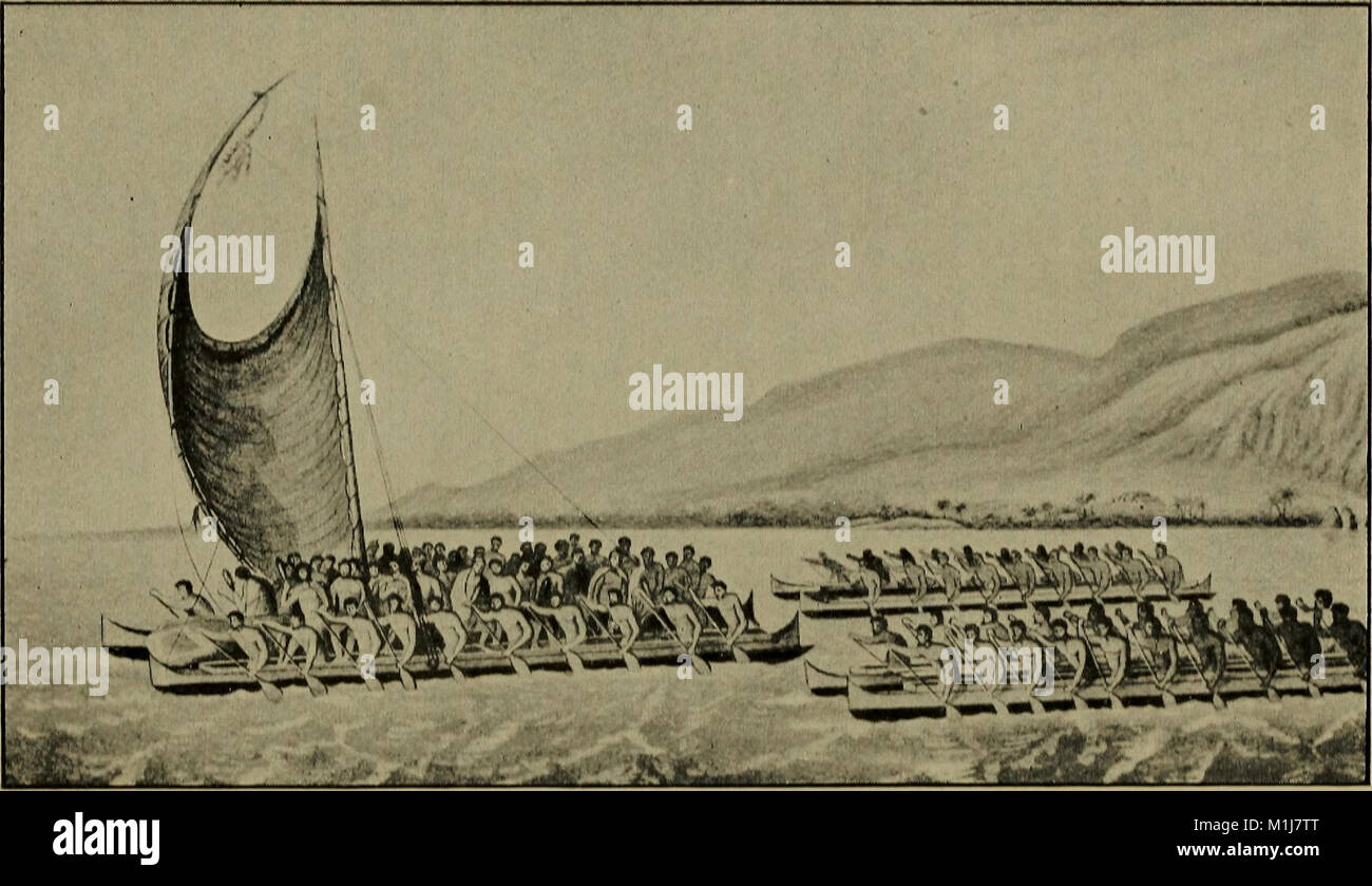 A noble army; a short study book for juniors (1921) (14782532335 Stock ...