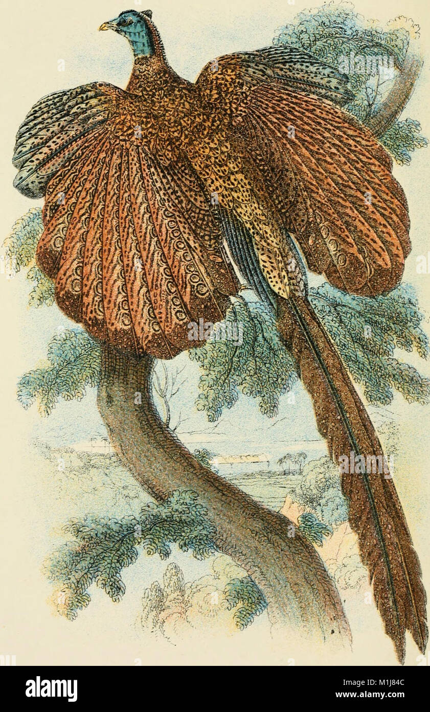 This 1896 handbook provides detailed information on game birds ...