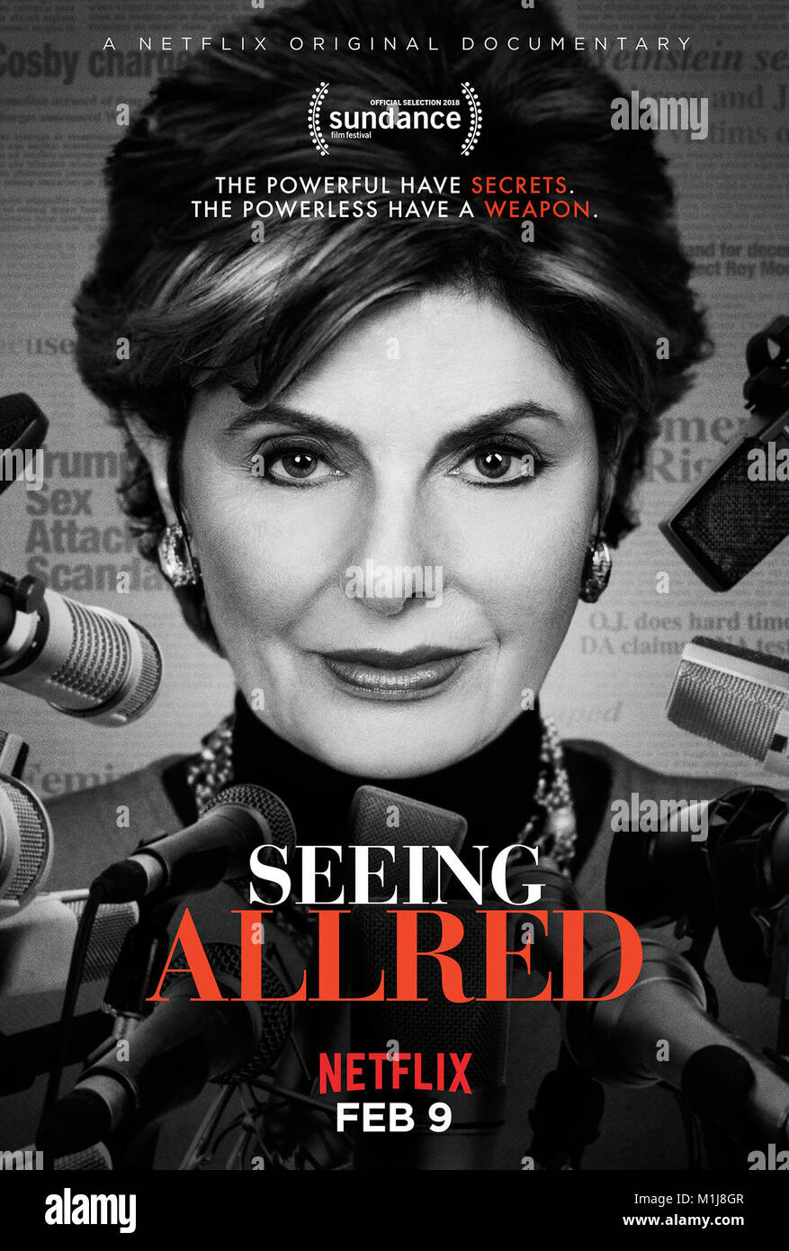 SEEING ALLRED, US poster, Gloria Allred, 2018. © Netflix/courtesy ...