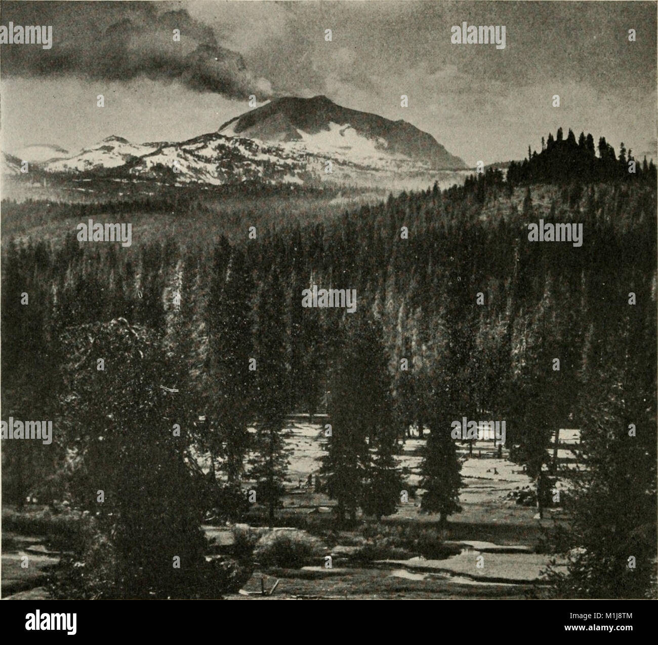'American Forestry' (1910-1923) covers the history and practices of ...