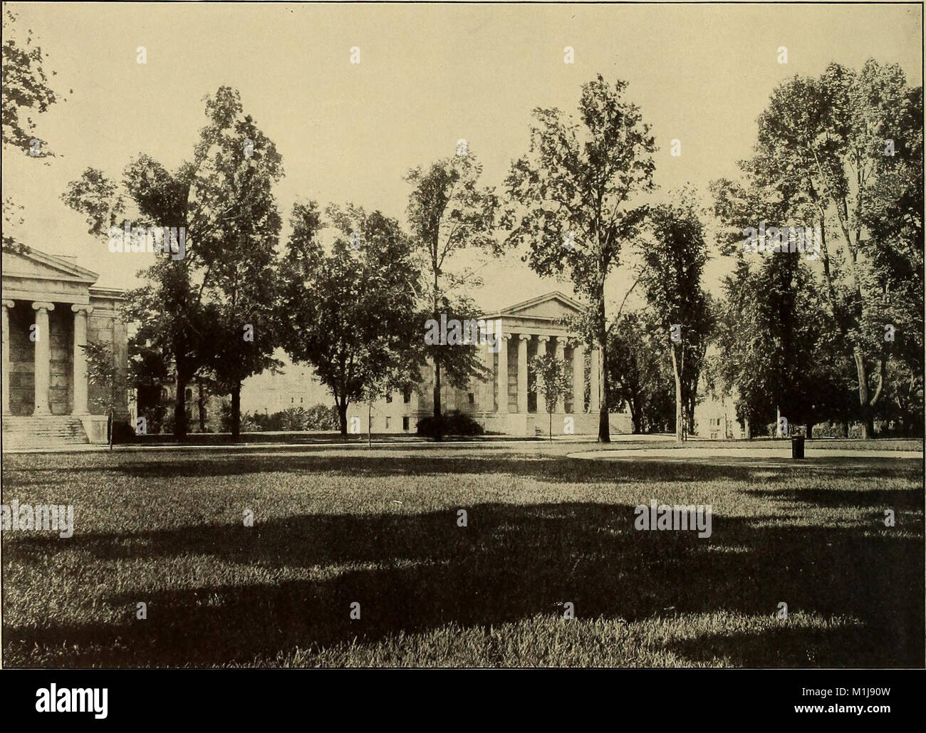 A history of Princeton '96 to the time of the decennial reunion of the ...