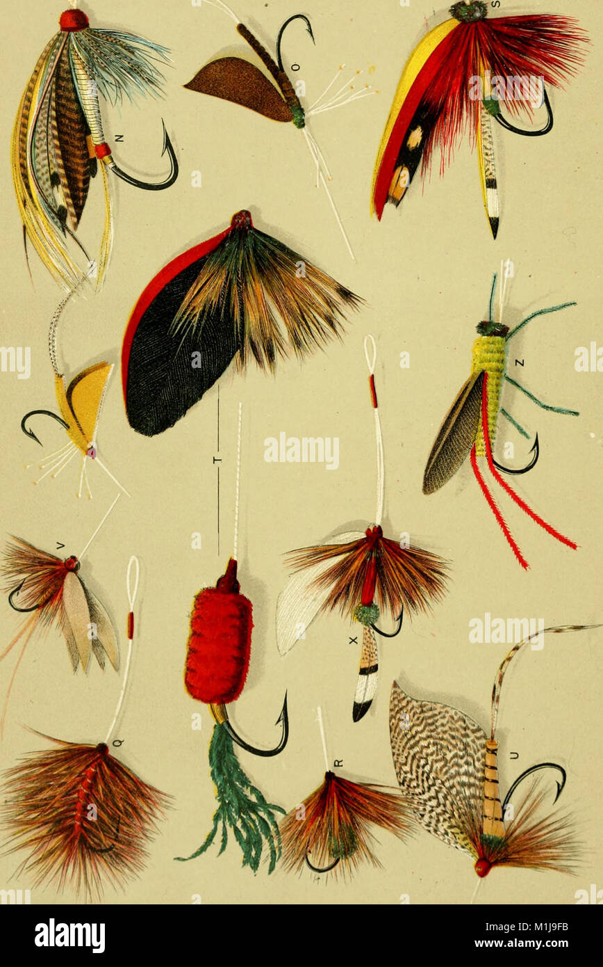 American game fishes; their habits, habitat, and peculiarities; how ...