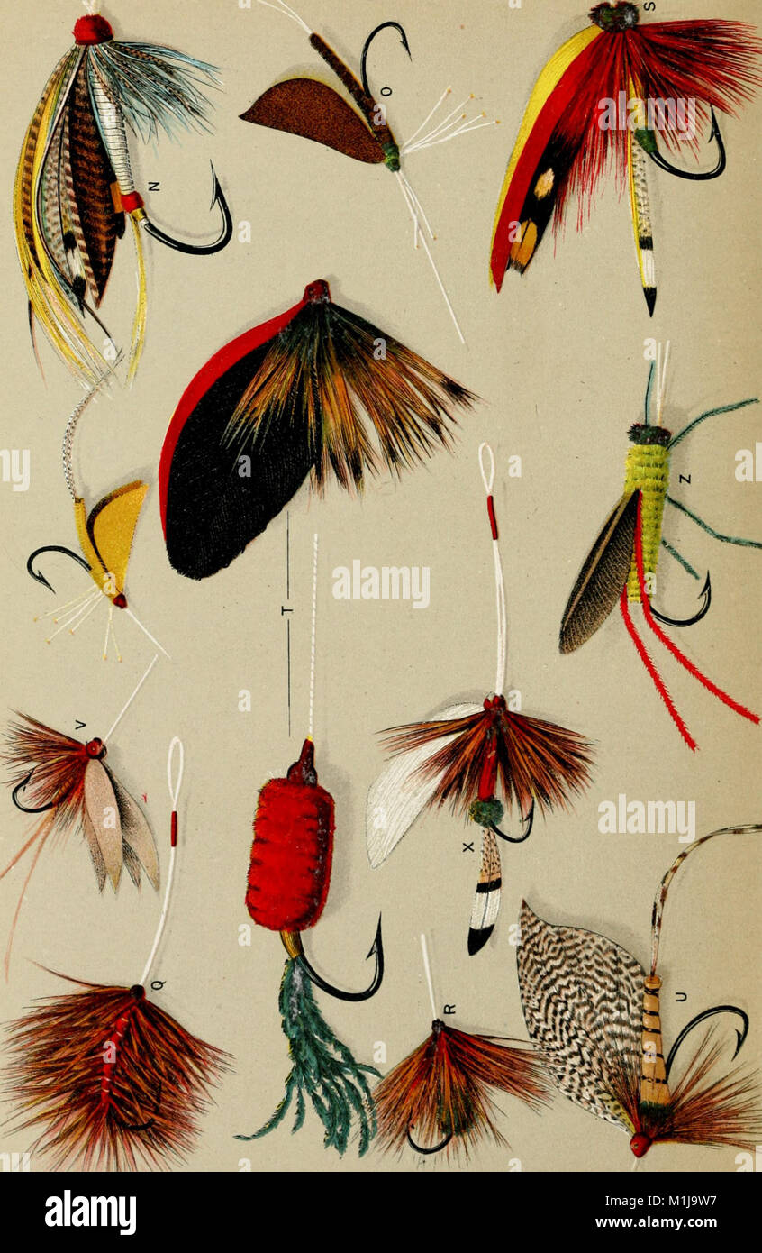 'American Game Fishes' (c1892) details the habits, habitats, and unique ...