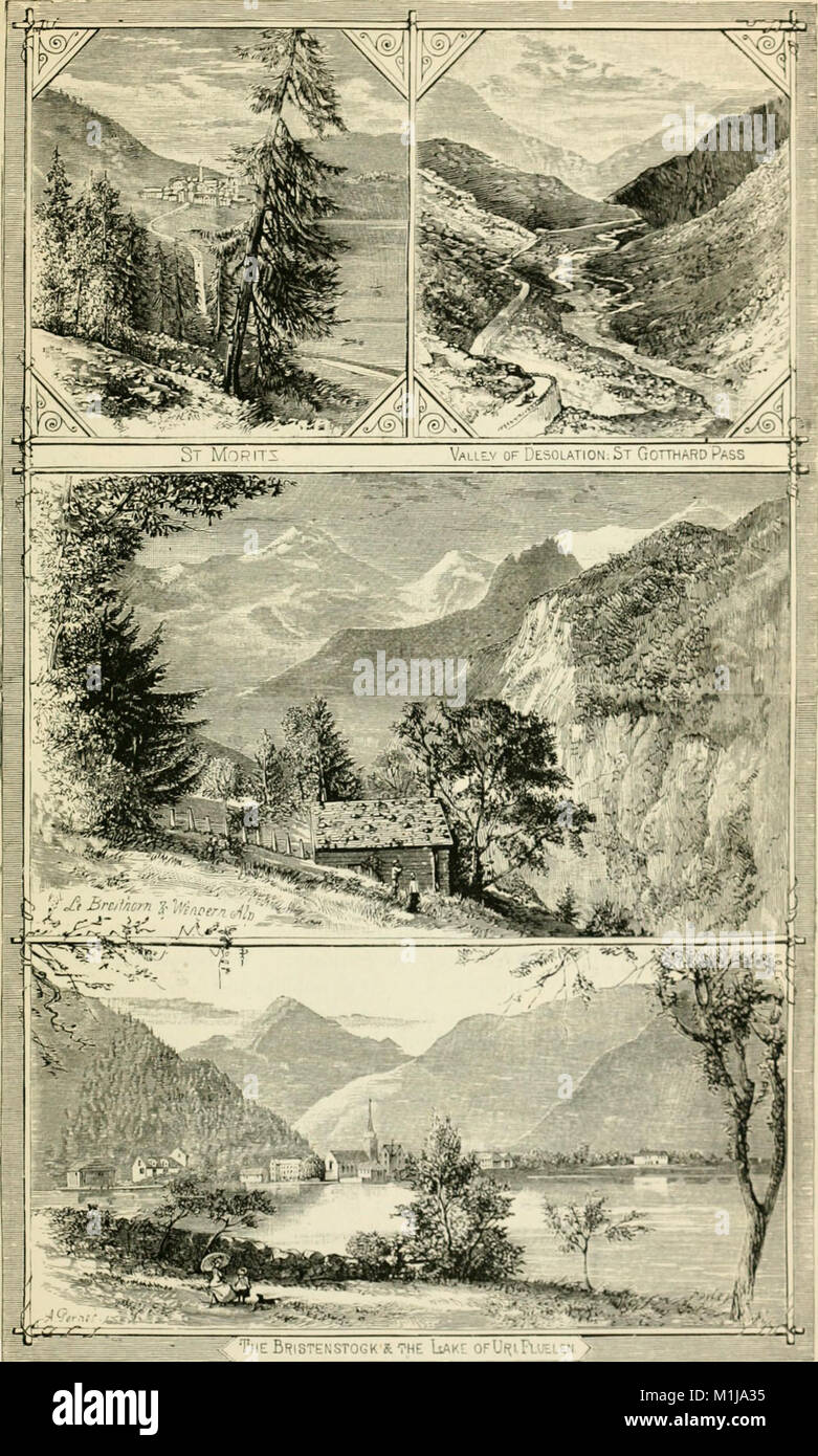 This 1885 guide provides a detailed description and illustrations of ...