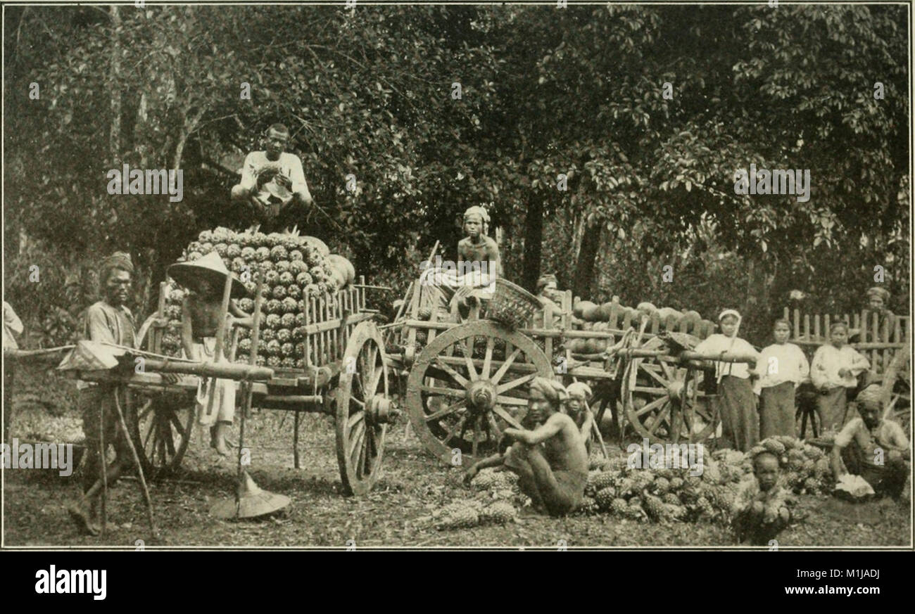 'Among the Burmans' (1904) recounts fifteen years of work and ...