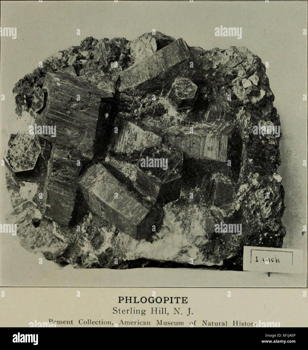 This guide to minerals provides an overview of mineralogy, including ...