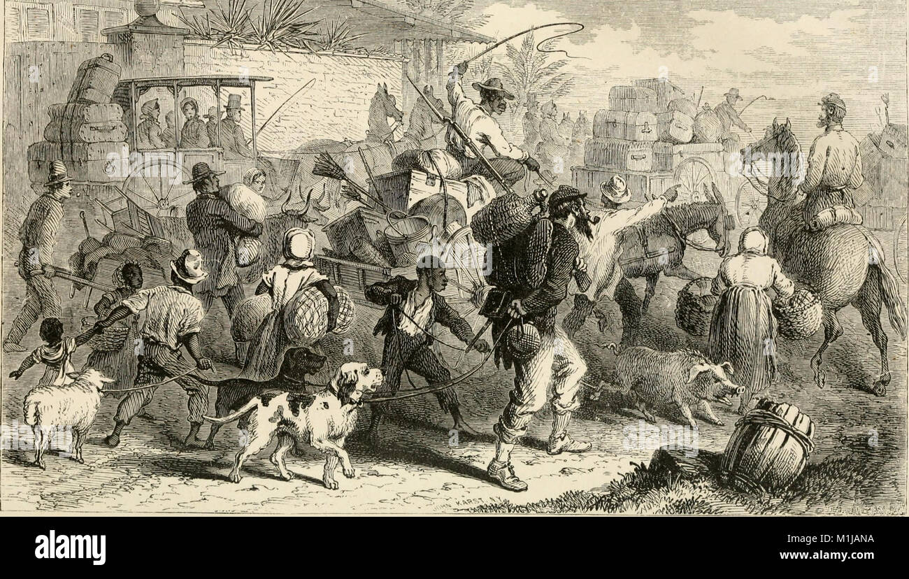 This 1868 work presents a visual account of the devastated states in ...