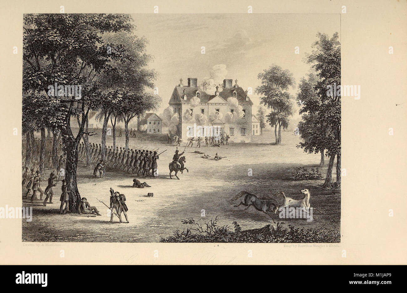 This illustrated history of the New World provides a comprehensive ...