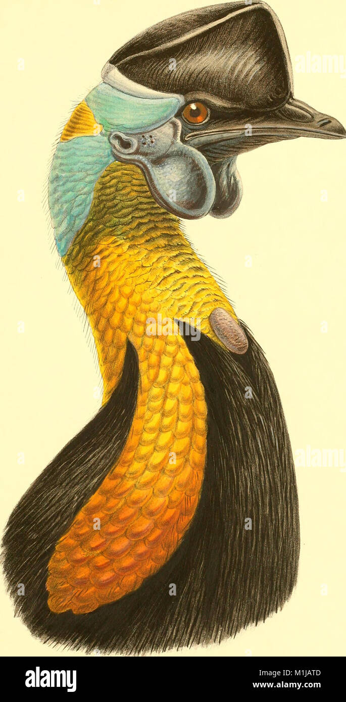 A Monograph of the Genus Casuarius (1900) is a detailed scientific ...