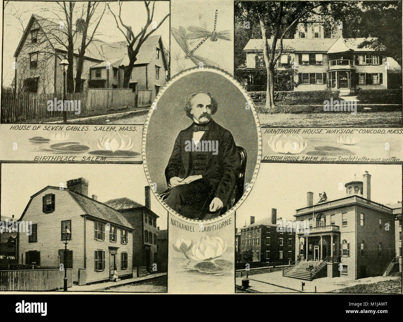 A century of American literature and the lives and portraits of our ...