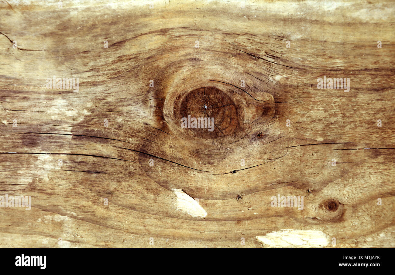 Closeup of knot in wood texture Stock Photo - Alamy