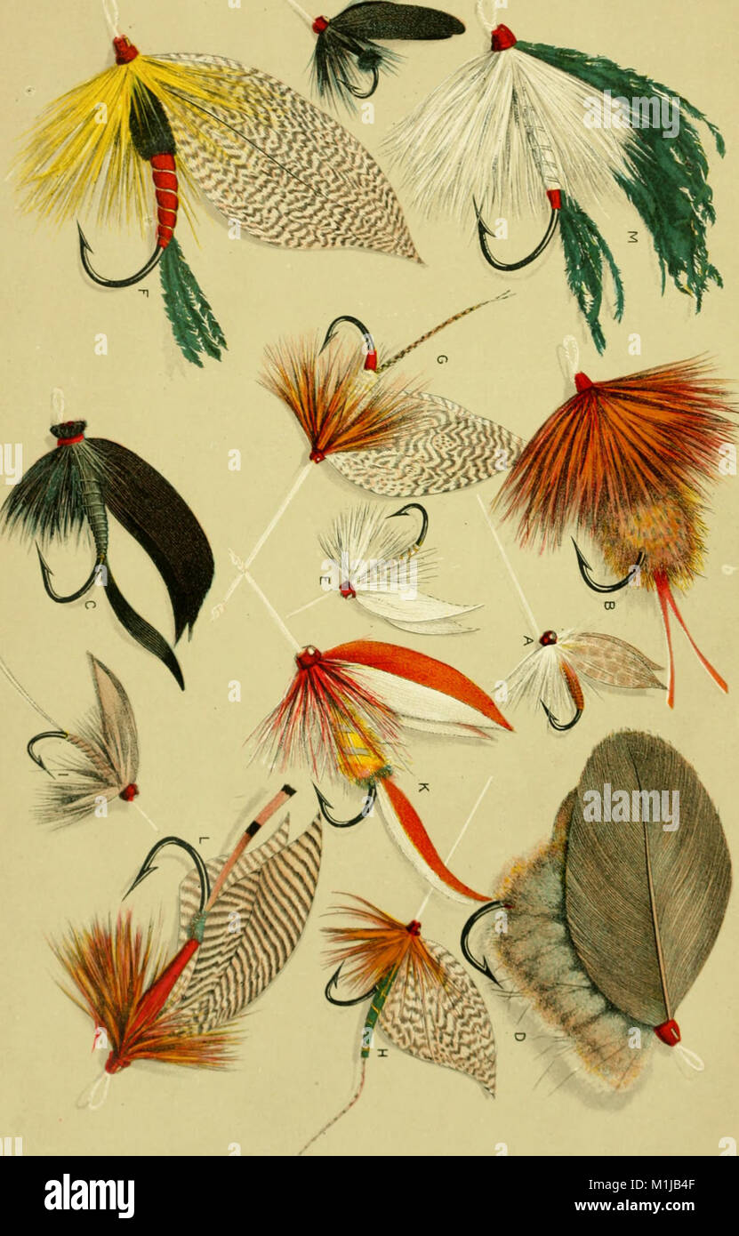 American game fishes; their habits, habitat, and peculiarities; how ...