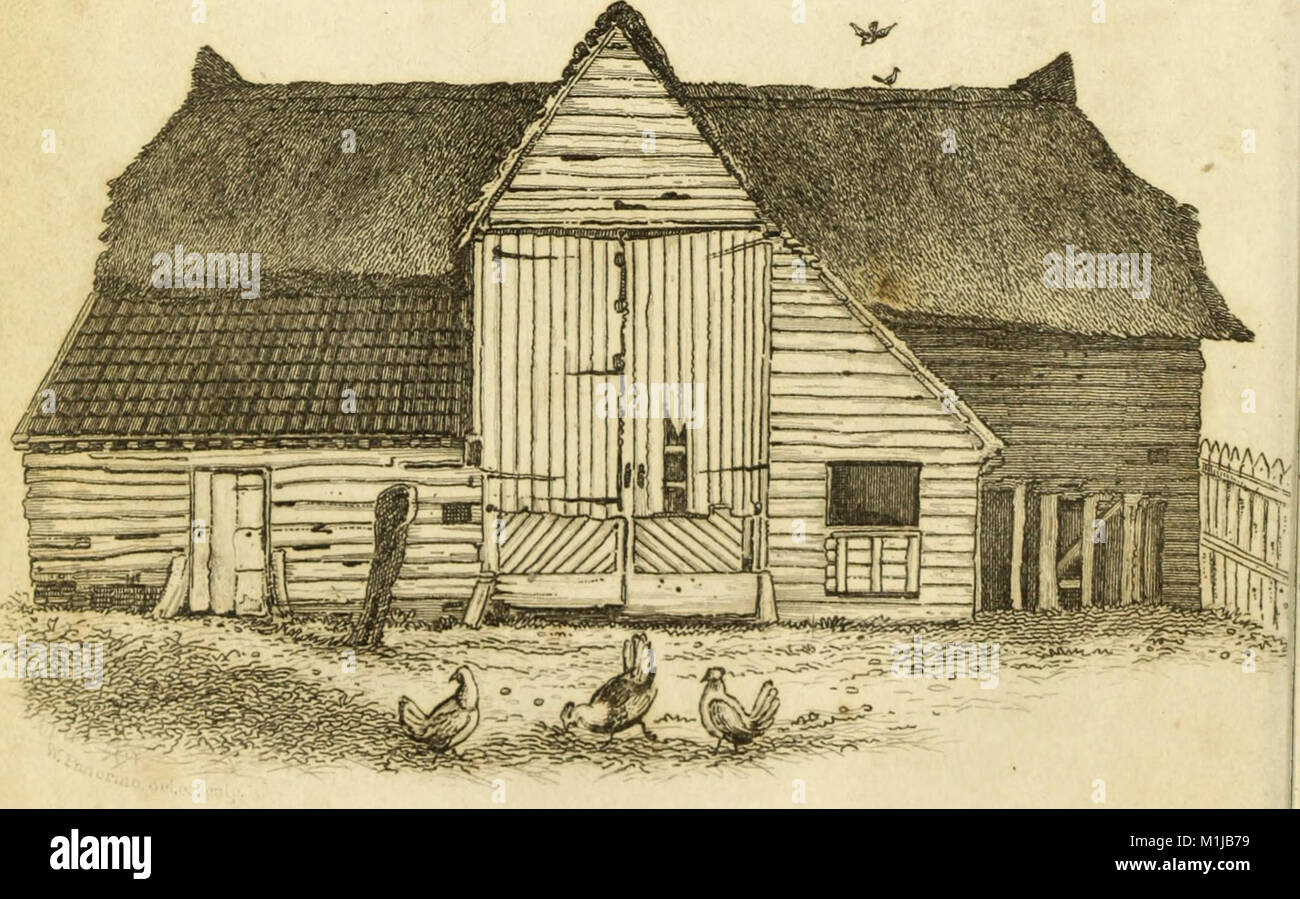 An authentic and faithful history of the mysterious murder of Maria ...