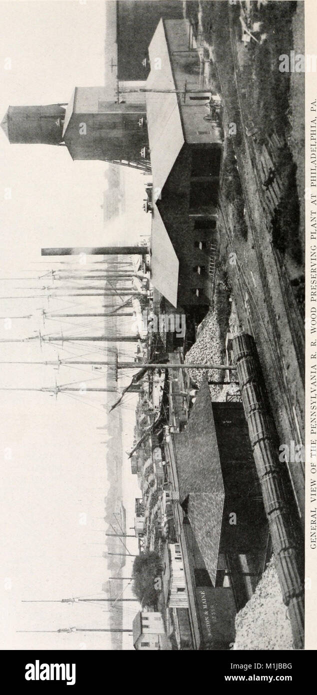 'American Forests' is a journal focusing on forestry, tree species, and ...