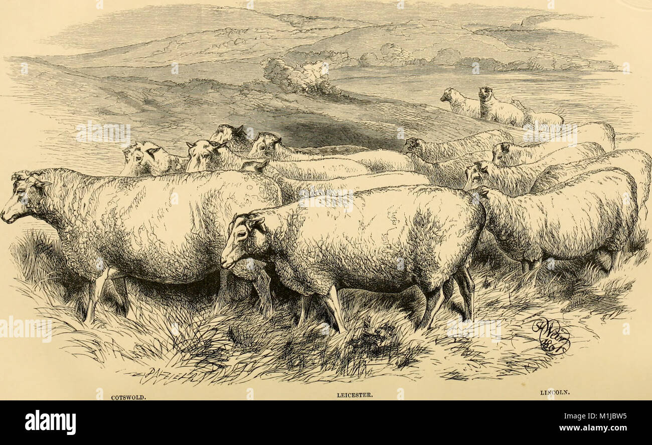 Agriculture, ancient and modern- a historical account of its principles ...