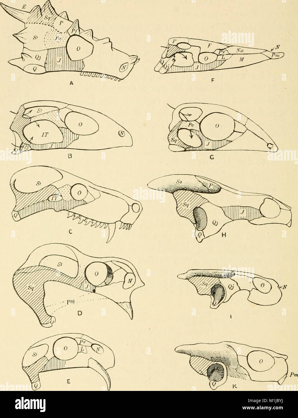This 1901 publication provides comprehensive information on amphibians ...