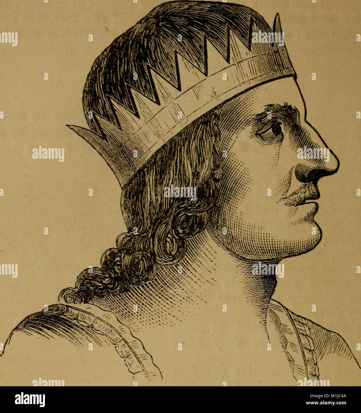 Physiognomical illustration hi-res stock photography and images - Alamy