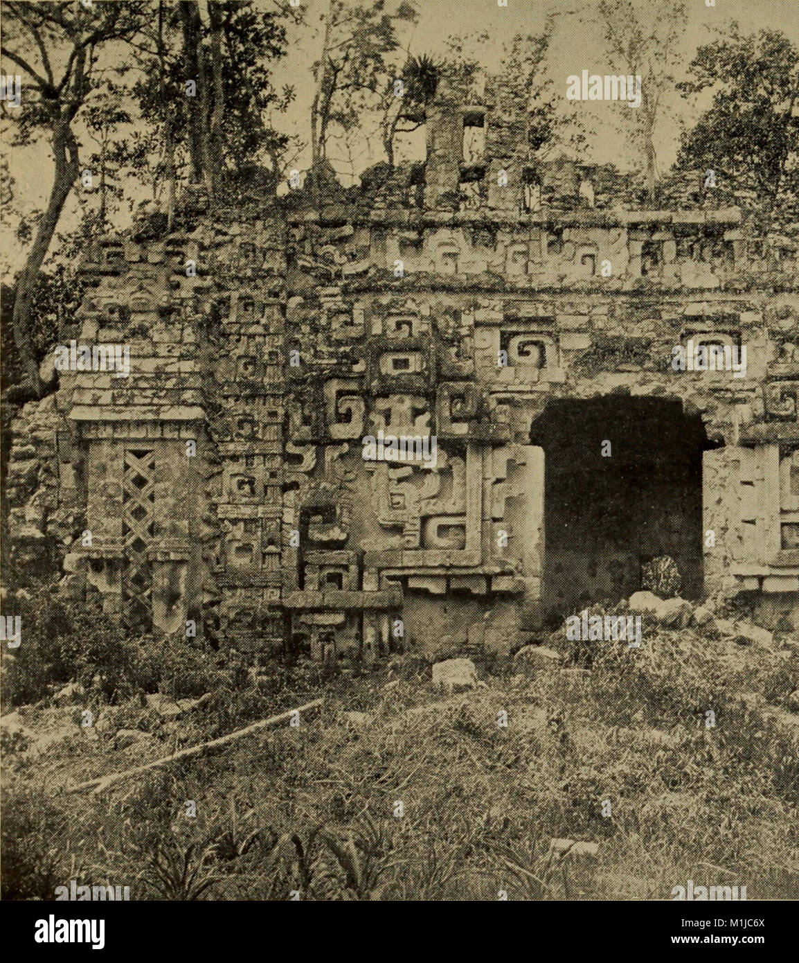 An in-depth exploration of the ancient civilizations of Mexico and ...