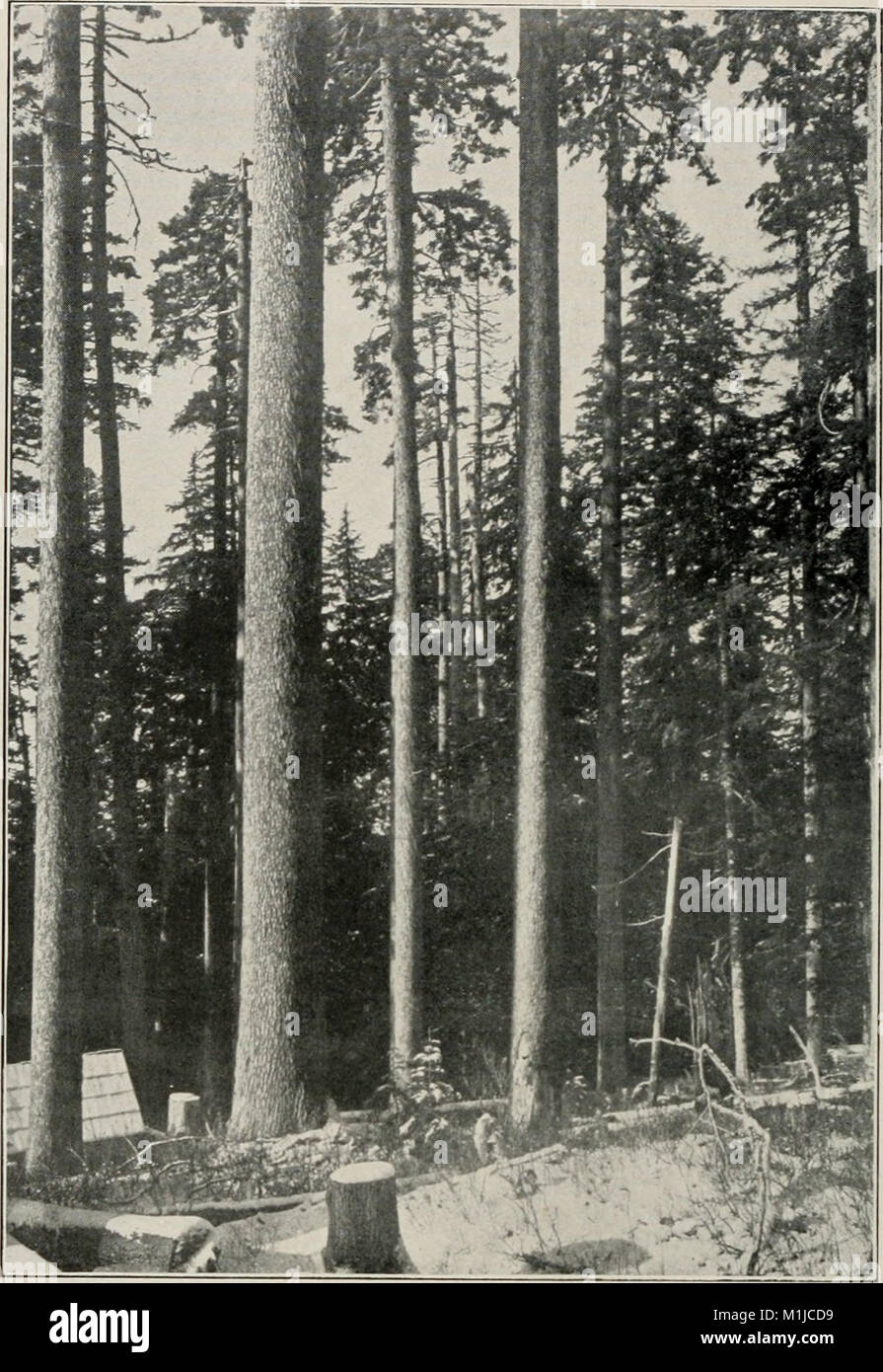 A series of publications from 1910 to 1923 discussing the practice of ...