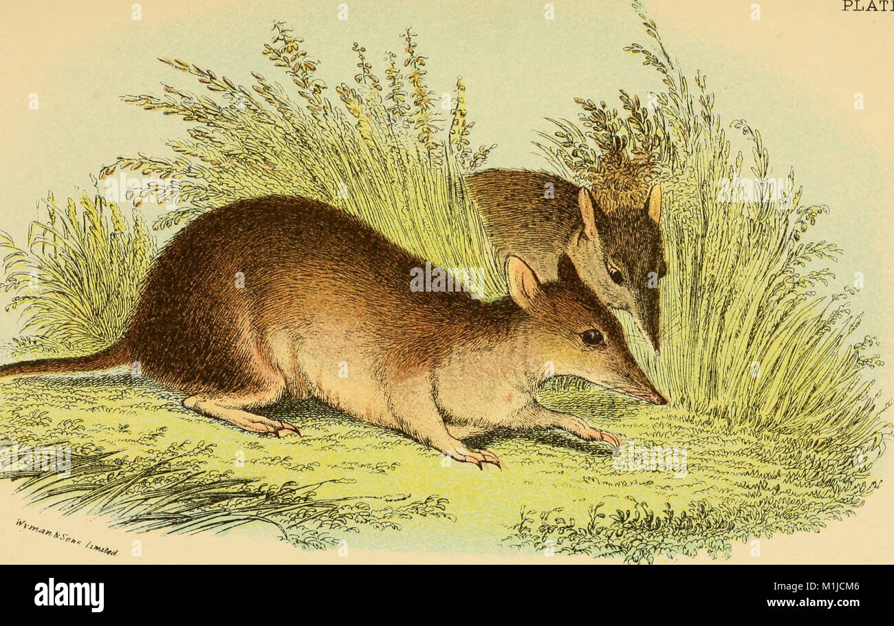 This 1896 handbook provides a detailed classification and study of ...