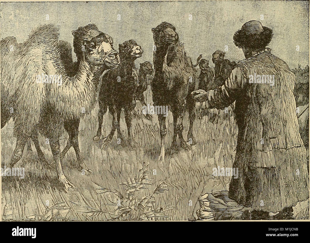 This 1909 book focuses on adventure, travel, and exploration ...