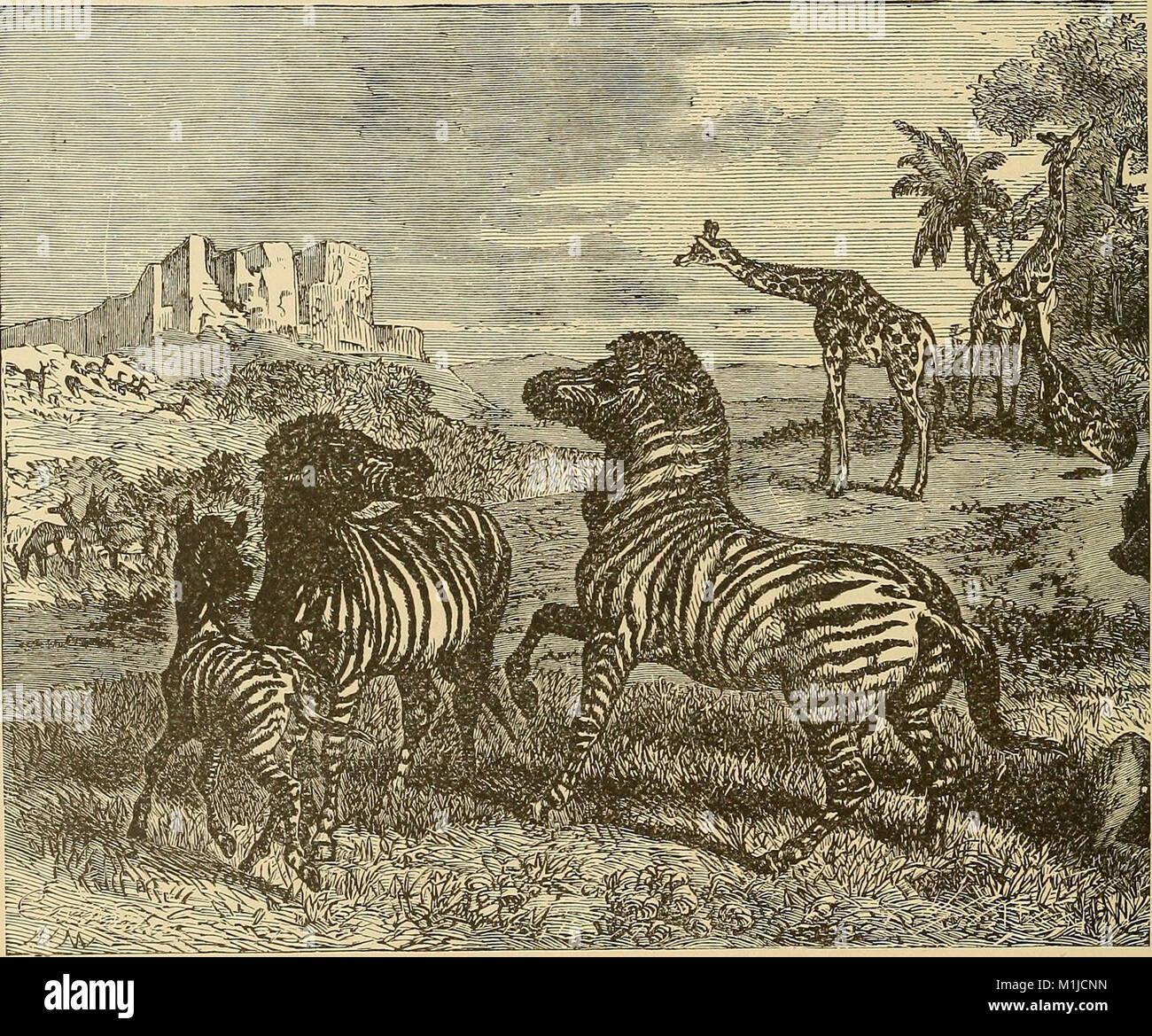 Published in 1909, this book details various adventure and exploration ...
