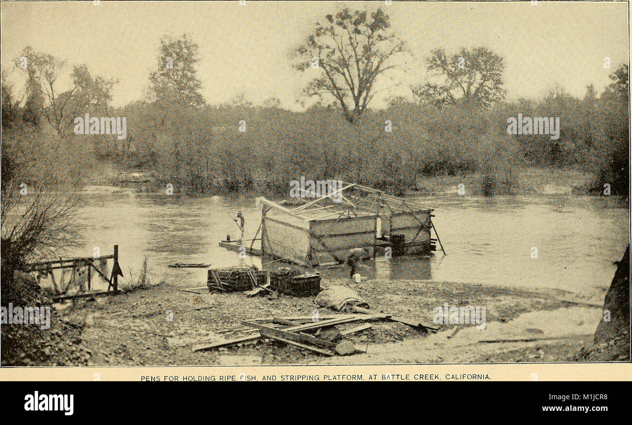 United states commission of fish and fisheries hi-res stock photography ...