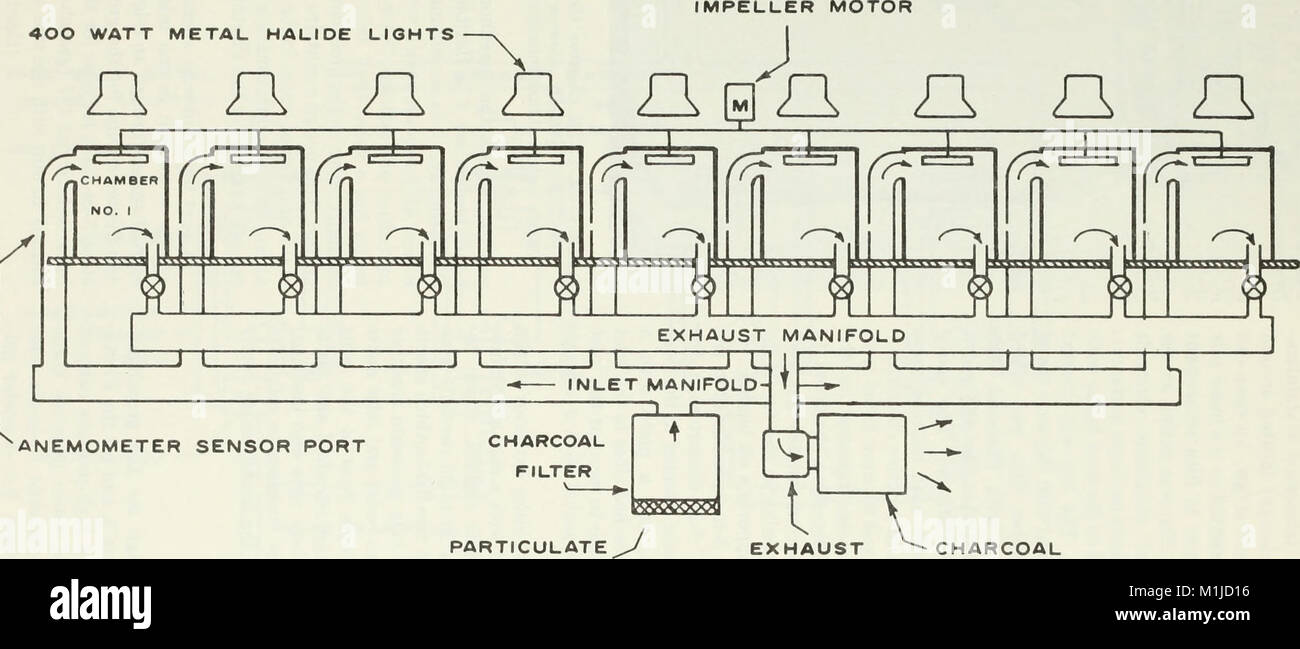 A continuous stirred tank reactor (CSTR) system for exposing plants to ...