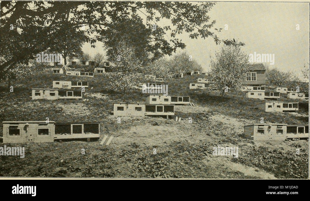 'A Handbook of Virginia' (1911) provides an overview of the state's ...
