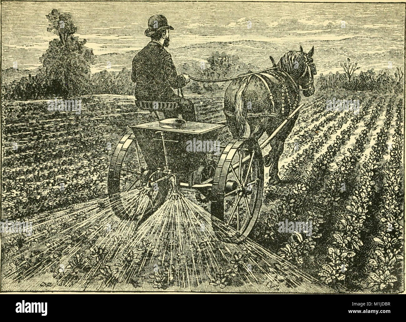 This 1891 handbook provides a detailed overview of the destructive ...