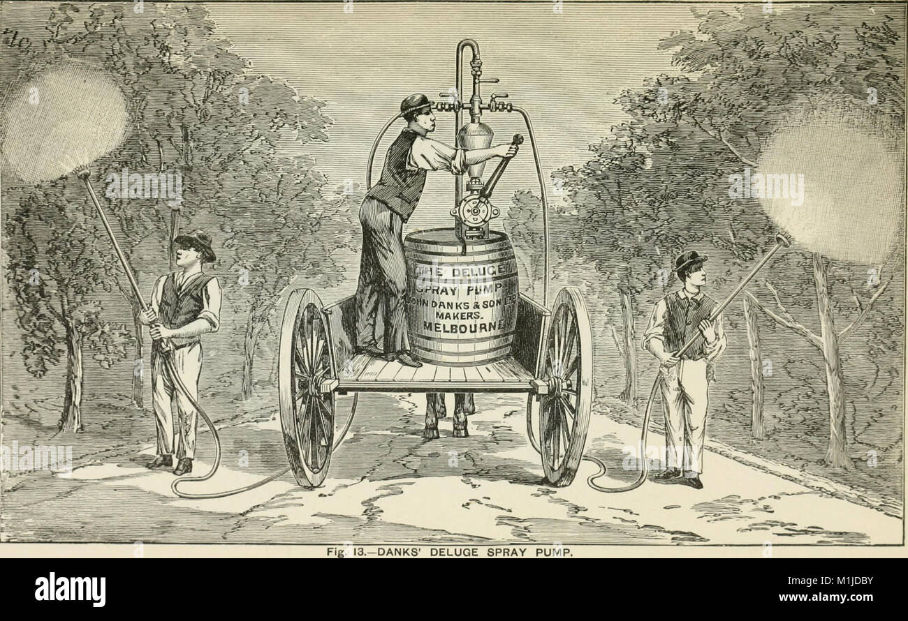 This 1891 handbook outlines various destructive insects in Victoria ...