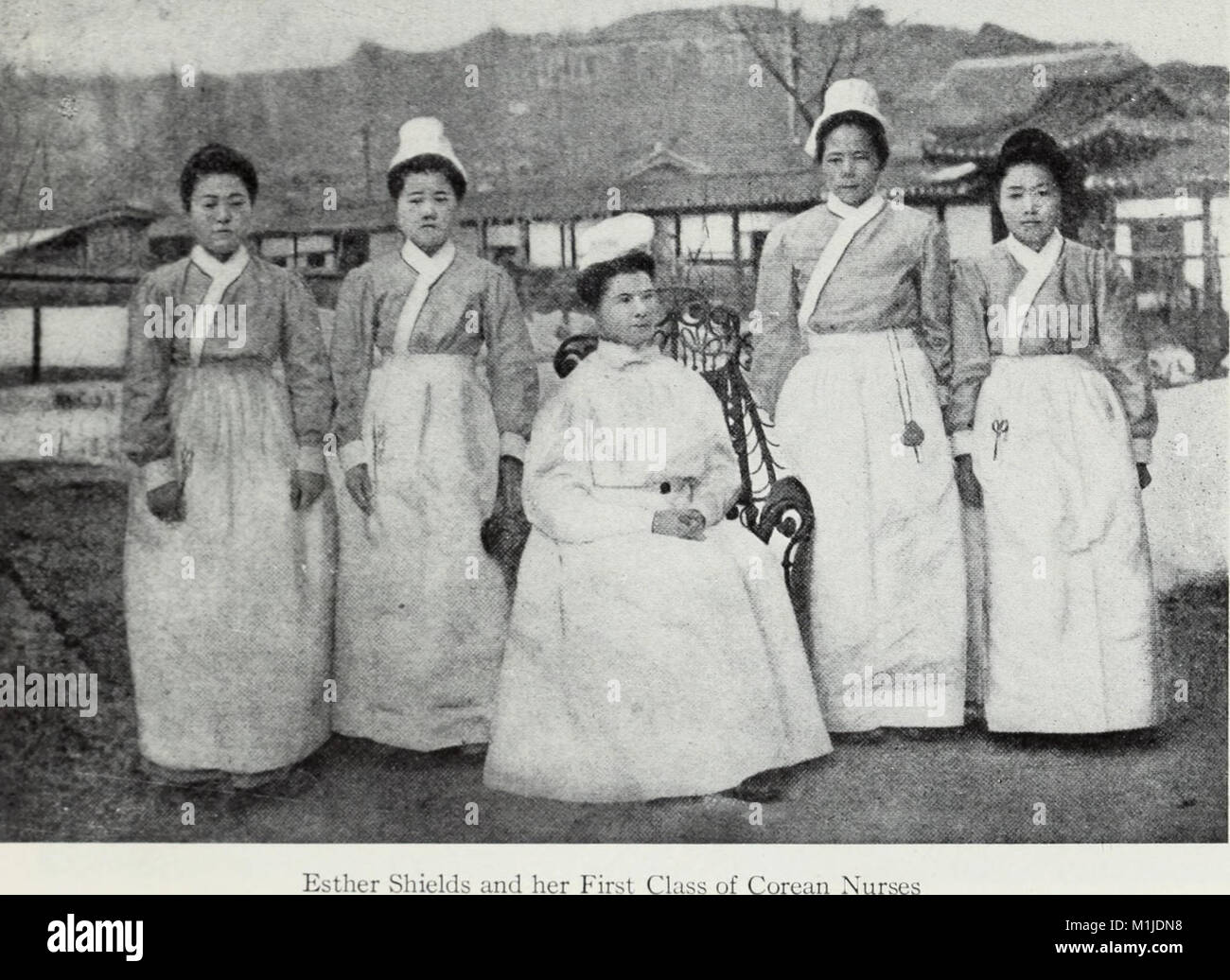 This work outlines the evolution of nursing systems, from early ...