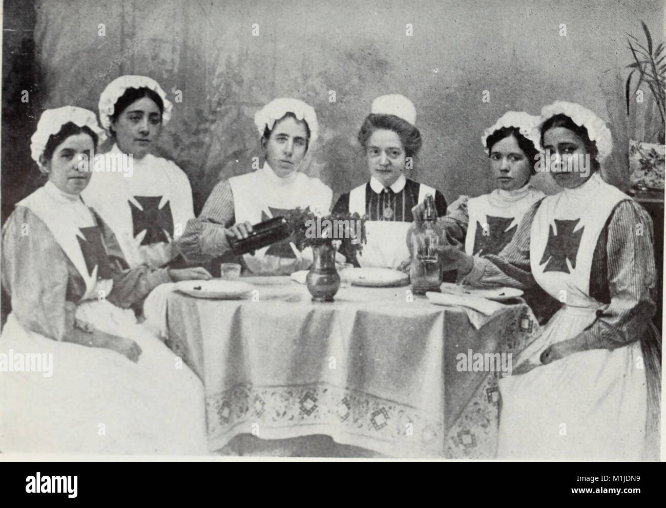 This 1912 book explores the history and development of nursing, from ...