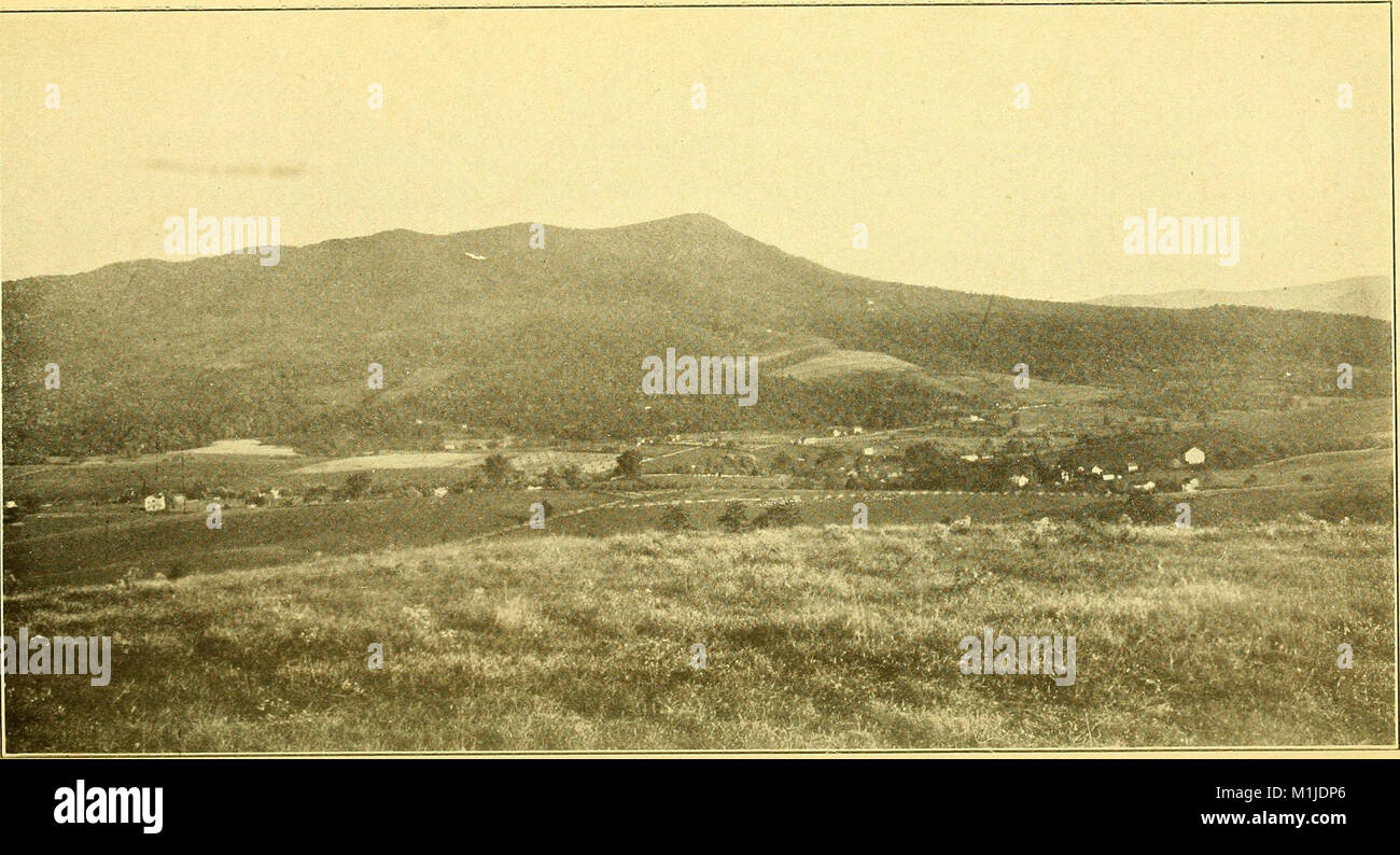 A history of Rockingham County, Virginia (1912) (14585627117 Stock ...