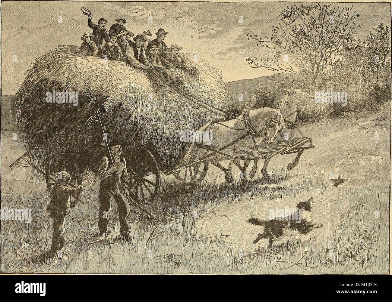 This 1889 book explores American art and its collections, offering ...