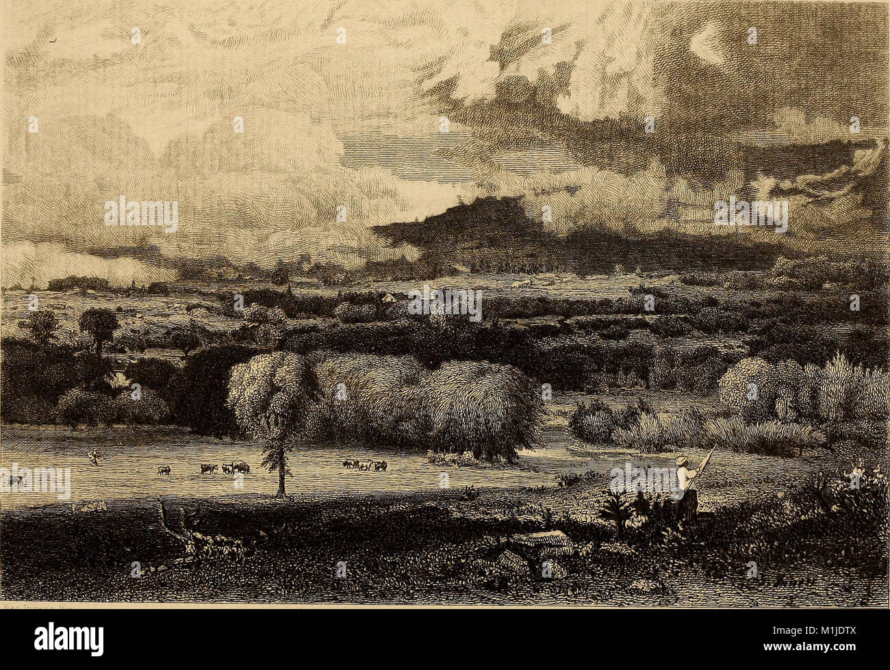 'American Art and American Art Collections' (1889) is a collection of ...