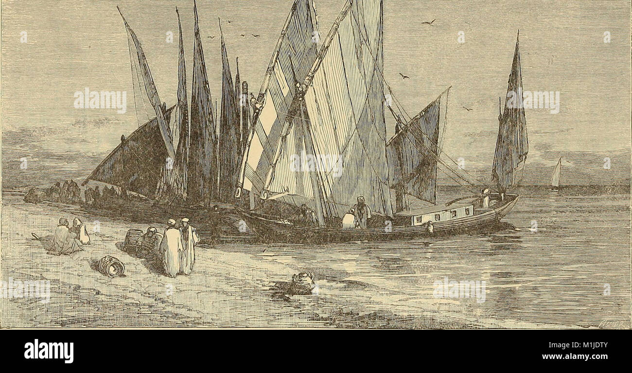 *American Art and American Art Collections* (1889) is a series of ...