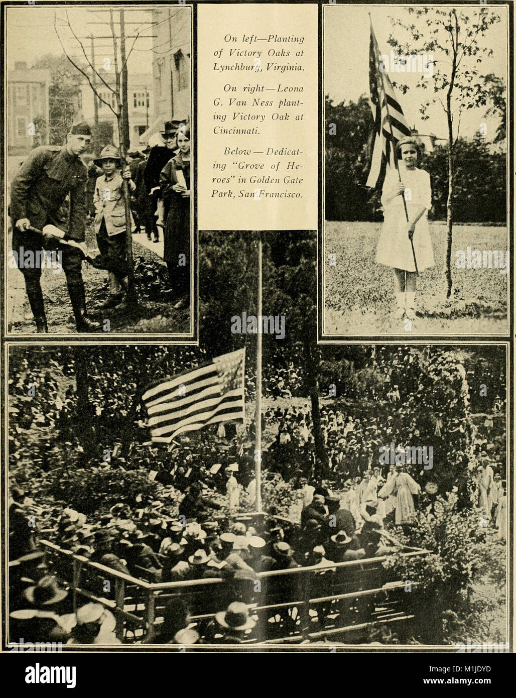 The American Forestry journal from 1910-1923 covers various aspects of ...
