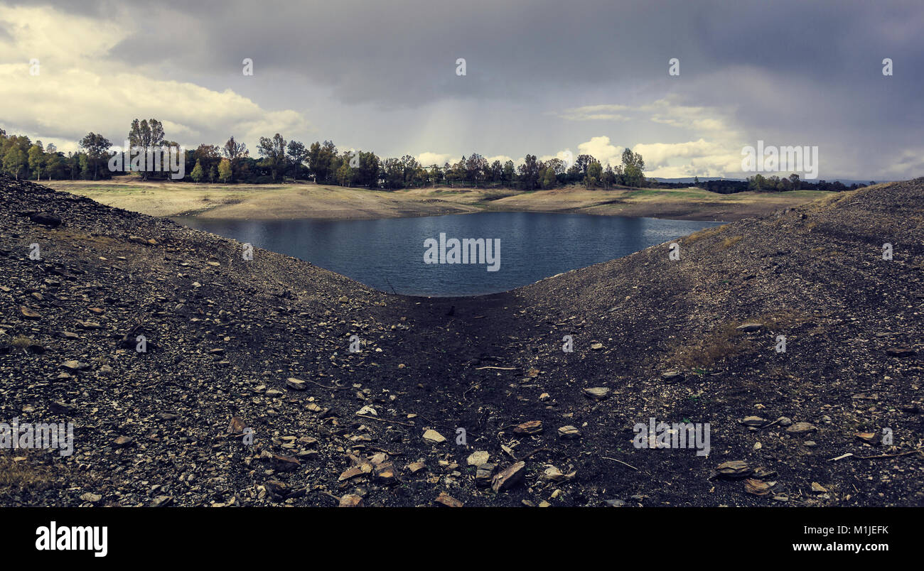 Two trees reflected in water hi-res stock photography and images - Alamy