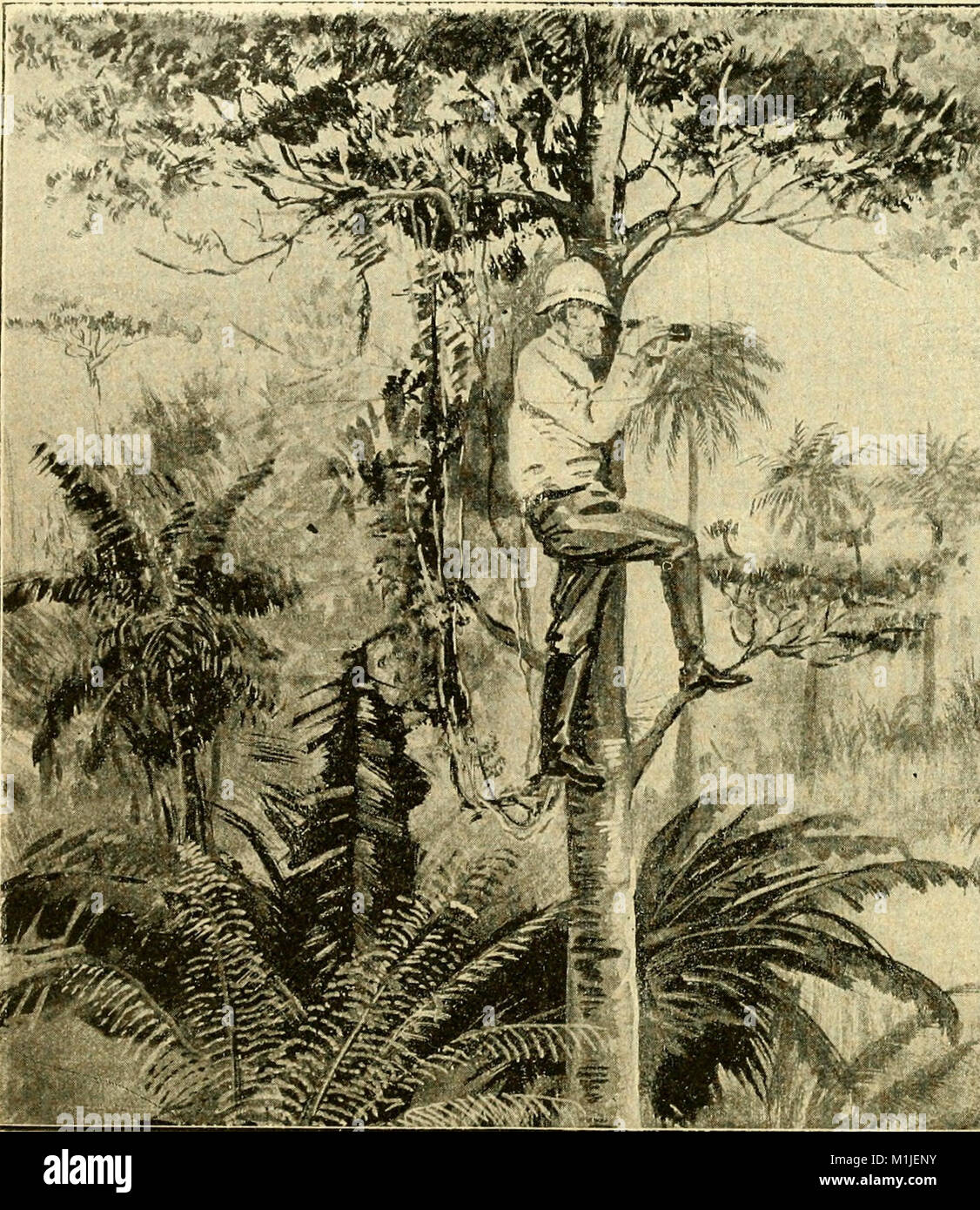 This 1898 publication offers a detailed account of Cubaâ€™s struggle ...