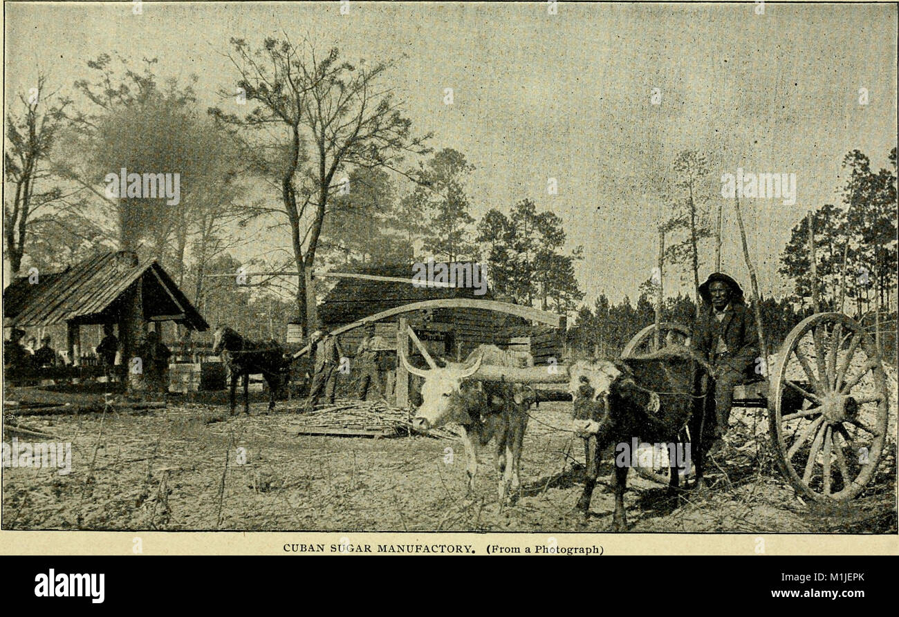 This 1898 publication provides a detailed history of Cuba's fight for ...