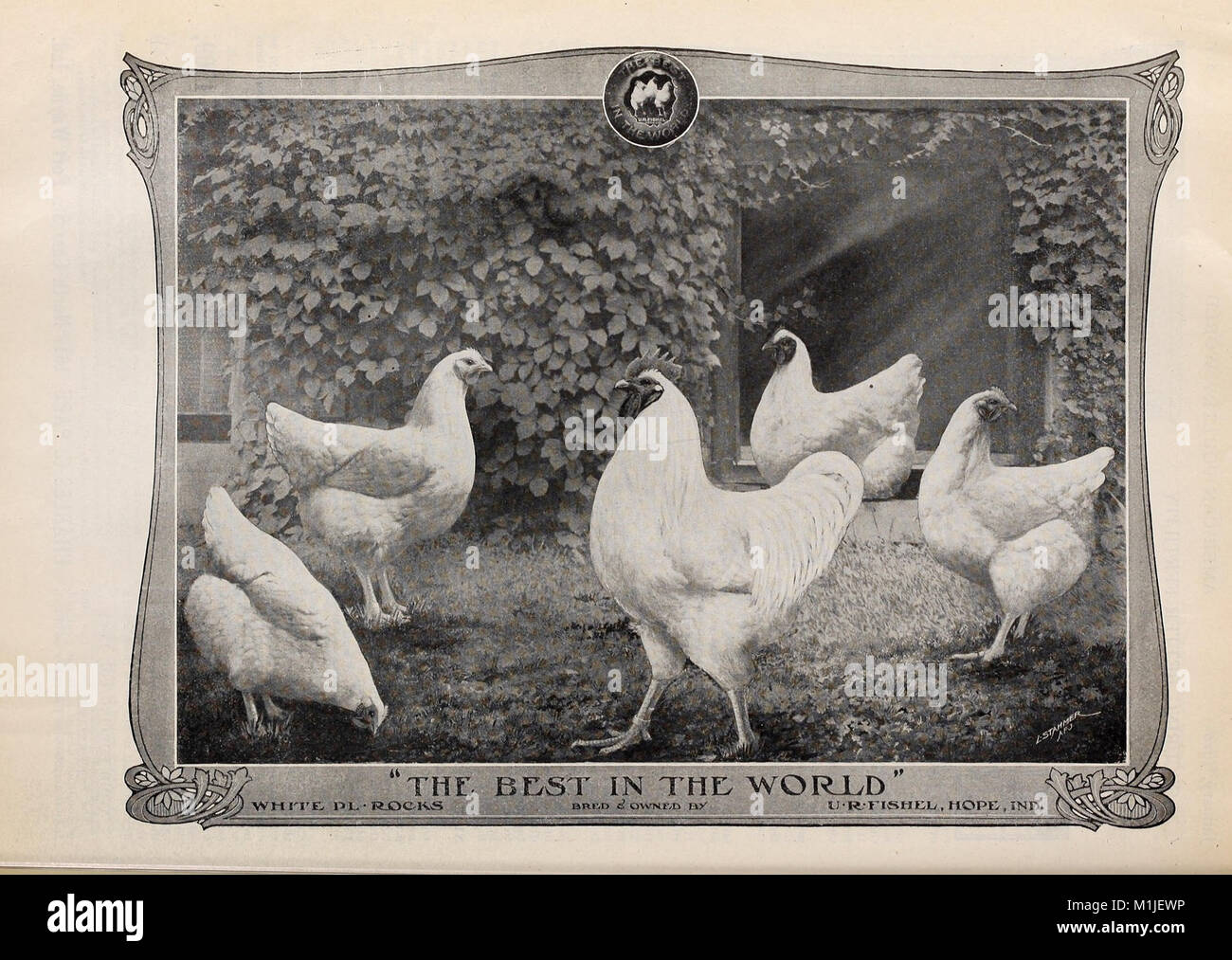 'American Poultry World' (1910) is a periodical focusing on the poultry ...