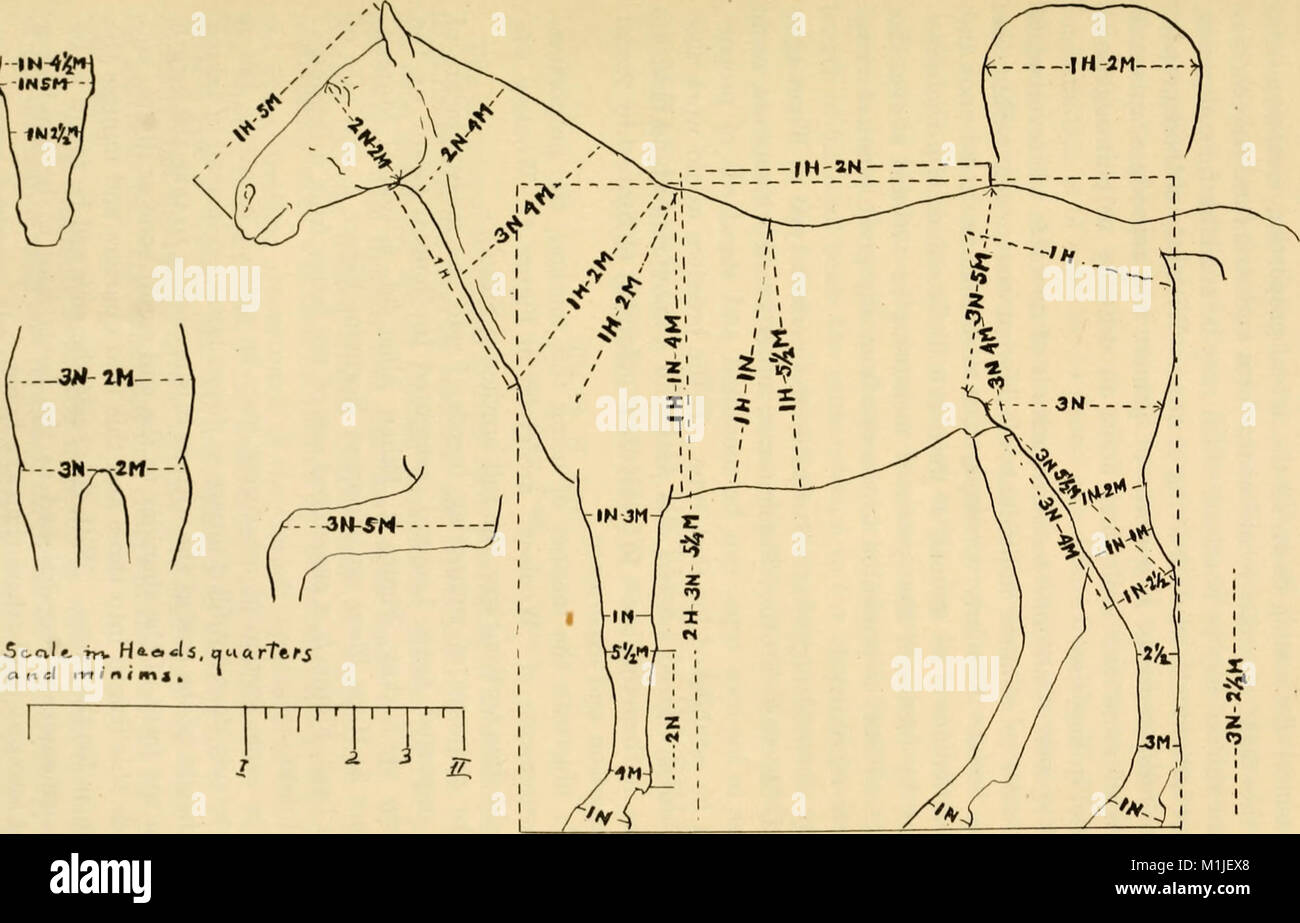 Published in 1912, the American Breeders Magazine focuses on the ...